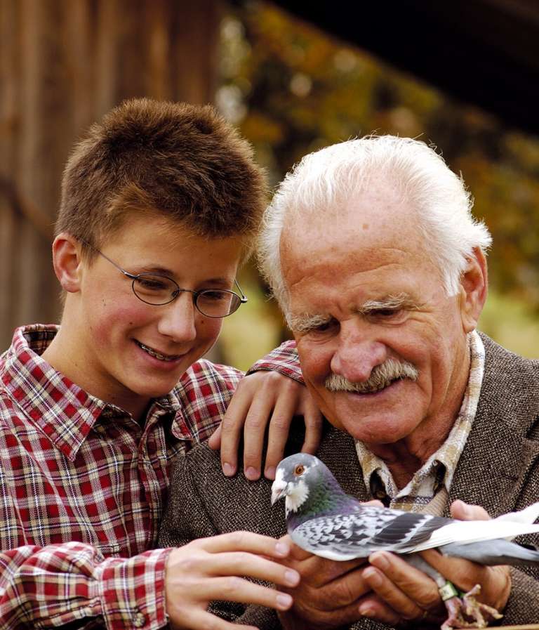 Benzing – Sisteme electronice de constatare pentru porumbeii calatori